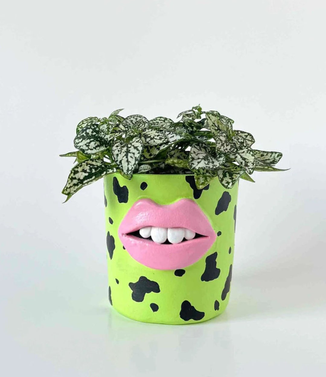 Quirky Lip Mouth Pot Home Decor - Etsy