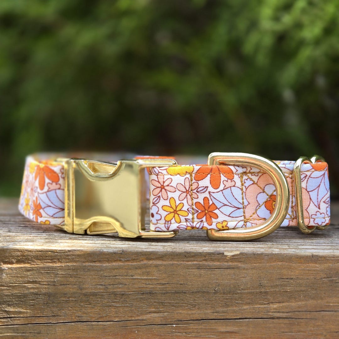 Orange Groovy 1960's Inspired Floral Dog Collar, Spring, Handmade - Etsy