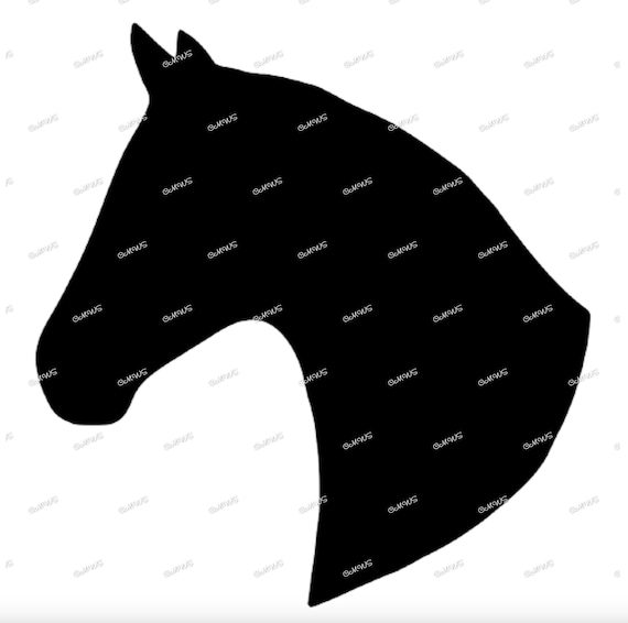 Horse Face Profile Drawing