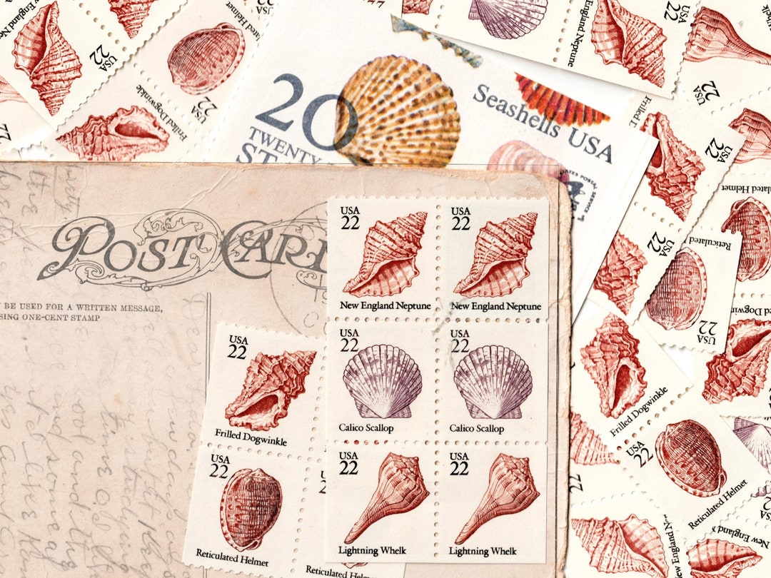 10 Stamps 22 Cent seashells Unused Vintage Postage USPS Accepted, Ready ...