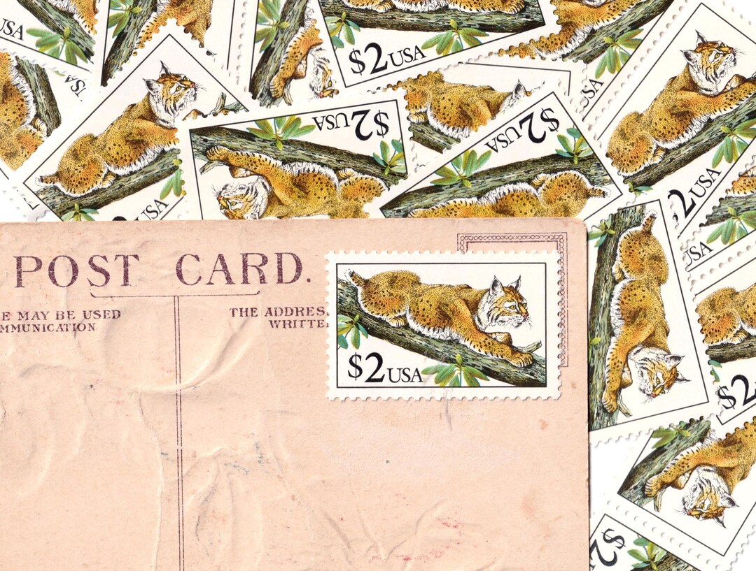 5 New Stamps - 2 Dollar "bobcat" Vintage Postage | USPS Post Office ...