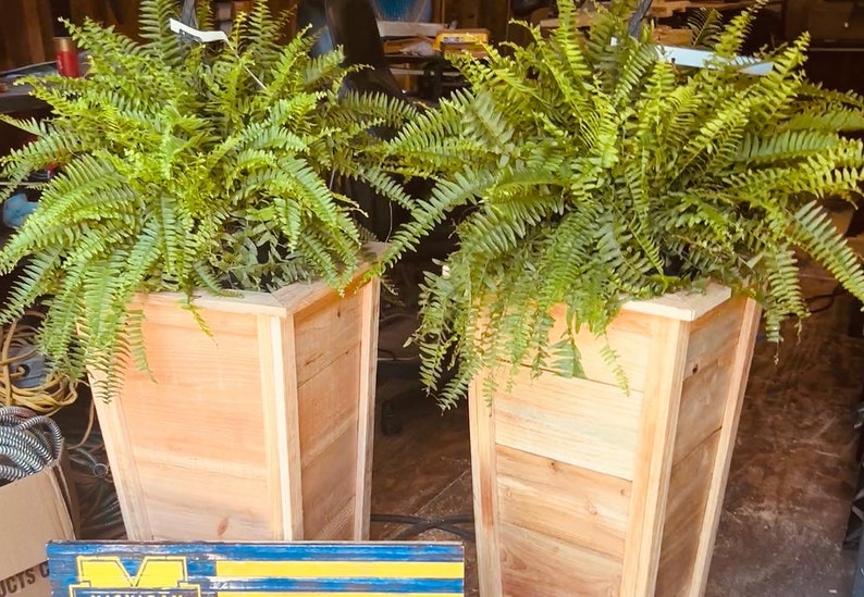 Tall Fern Stand - Etsy