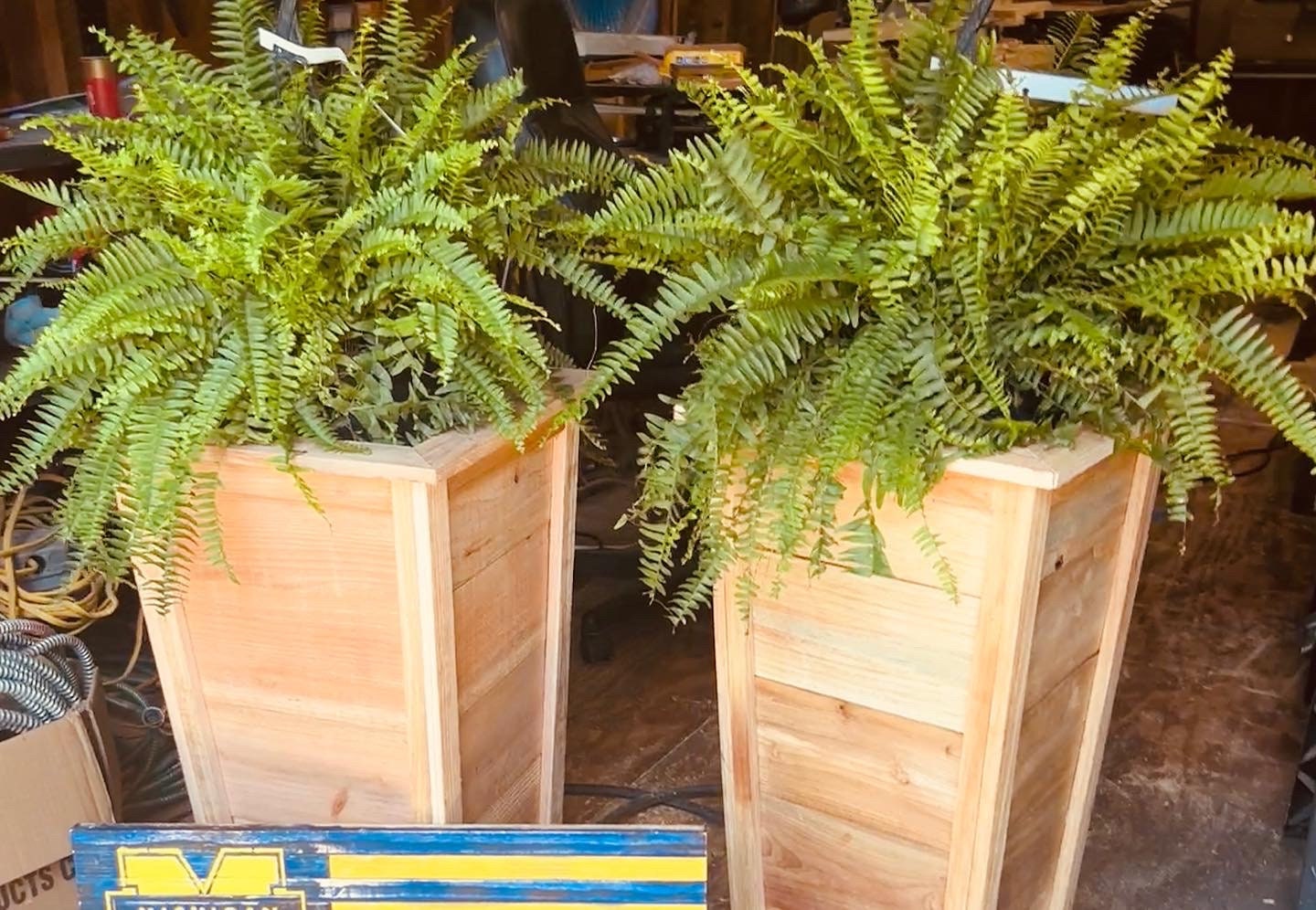 Tall Fern Stand - Etsy