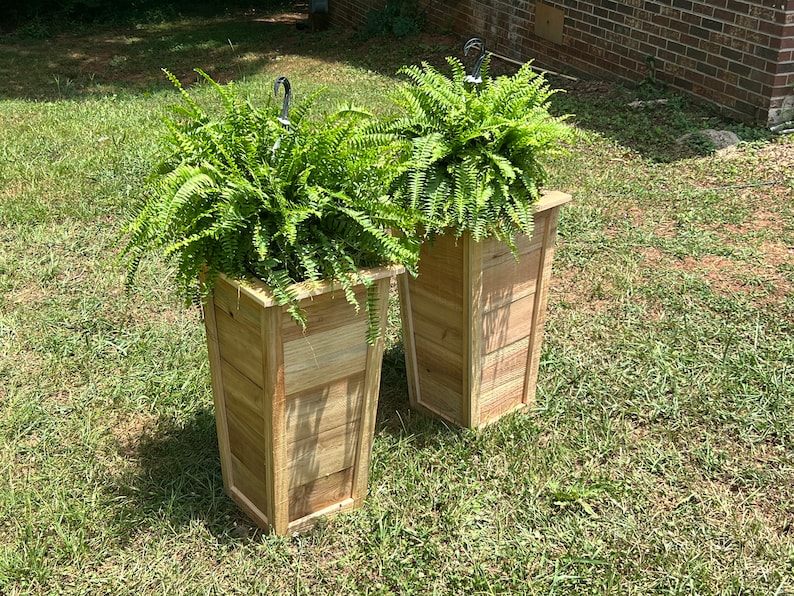 Tall Fern Stand - Etsy