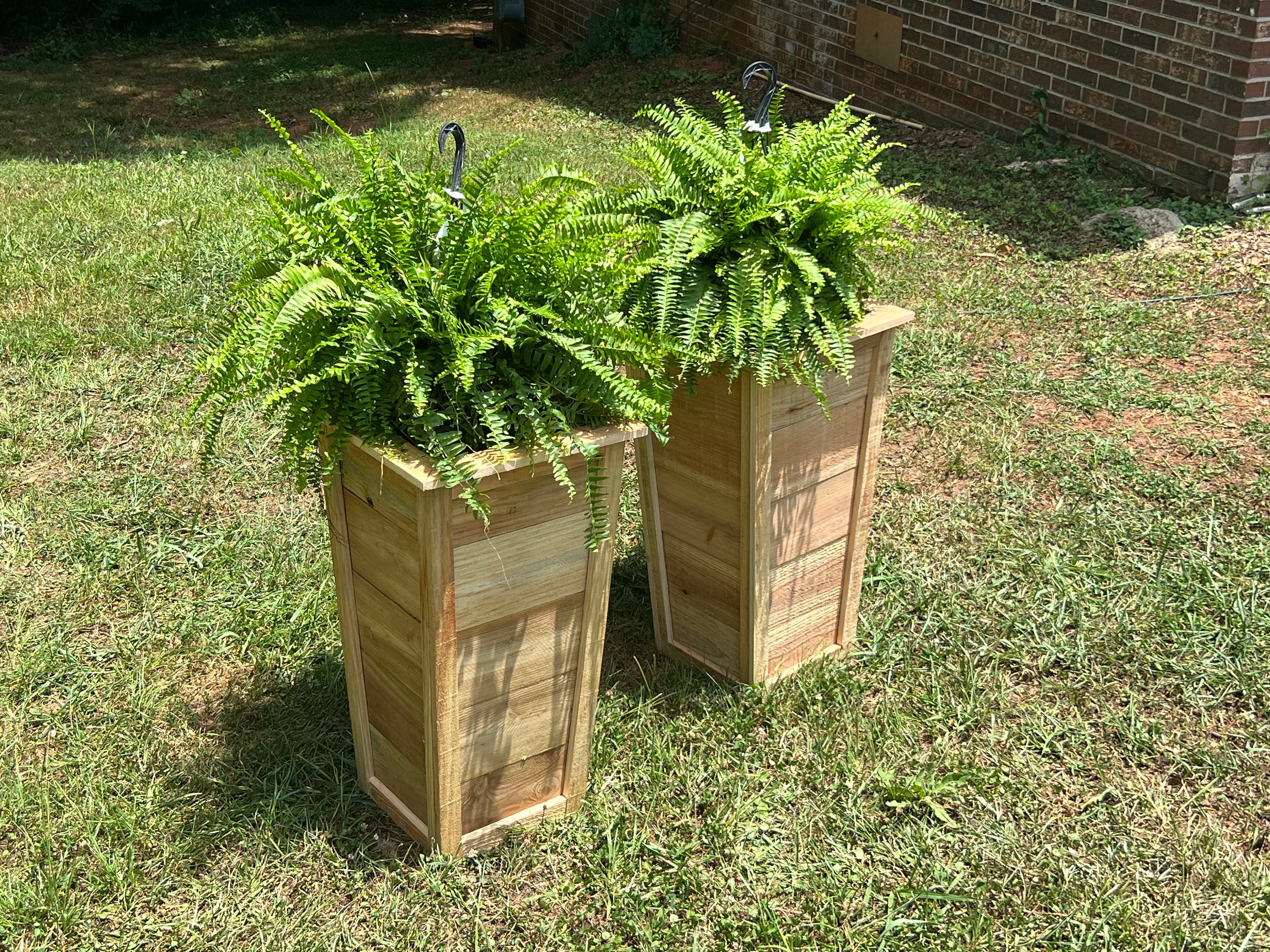 Tall Fern Stand - Etsy