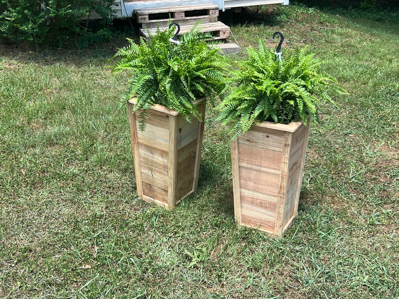 Tall Fern Stand - Etsy