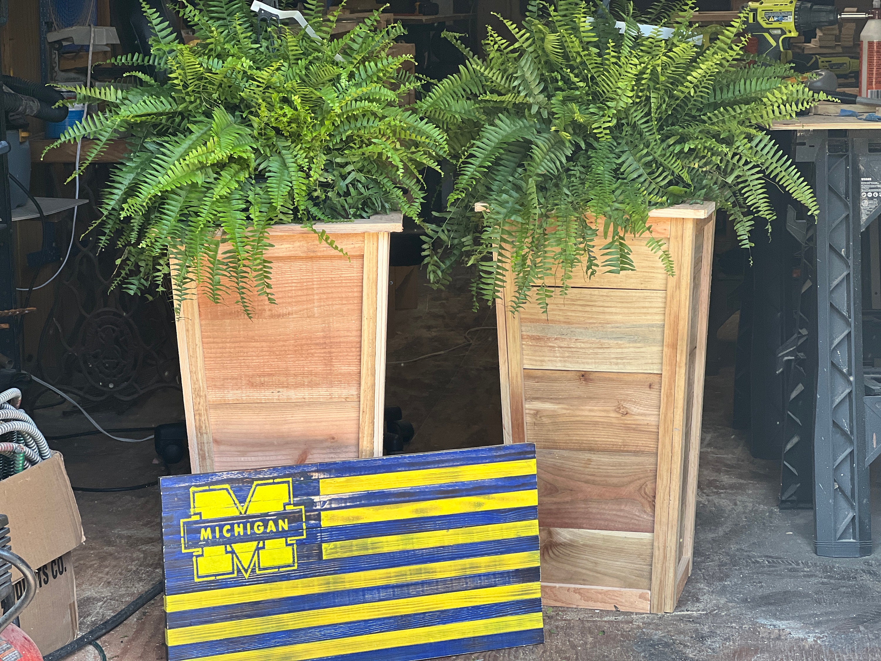 Tall Fern Stand - Etsy