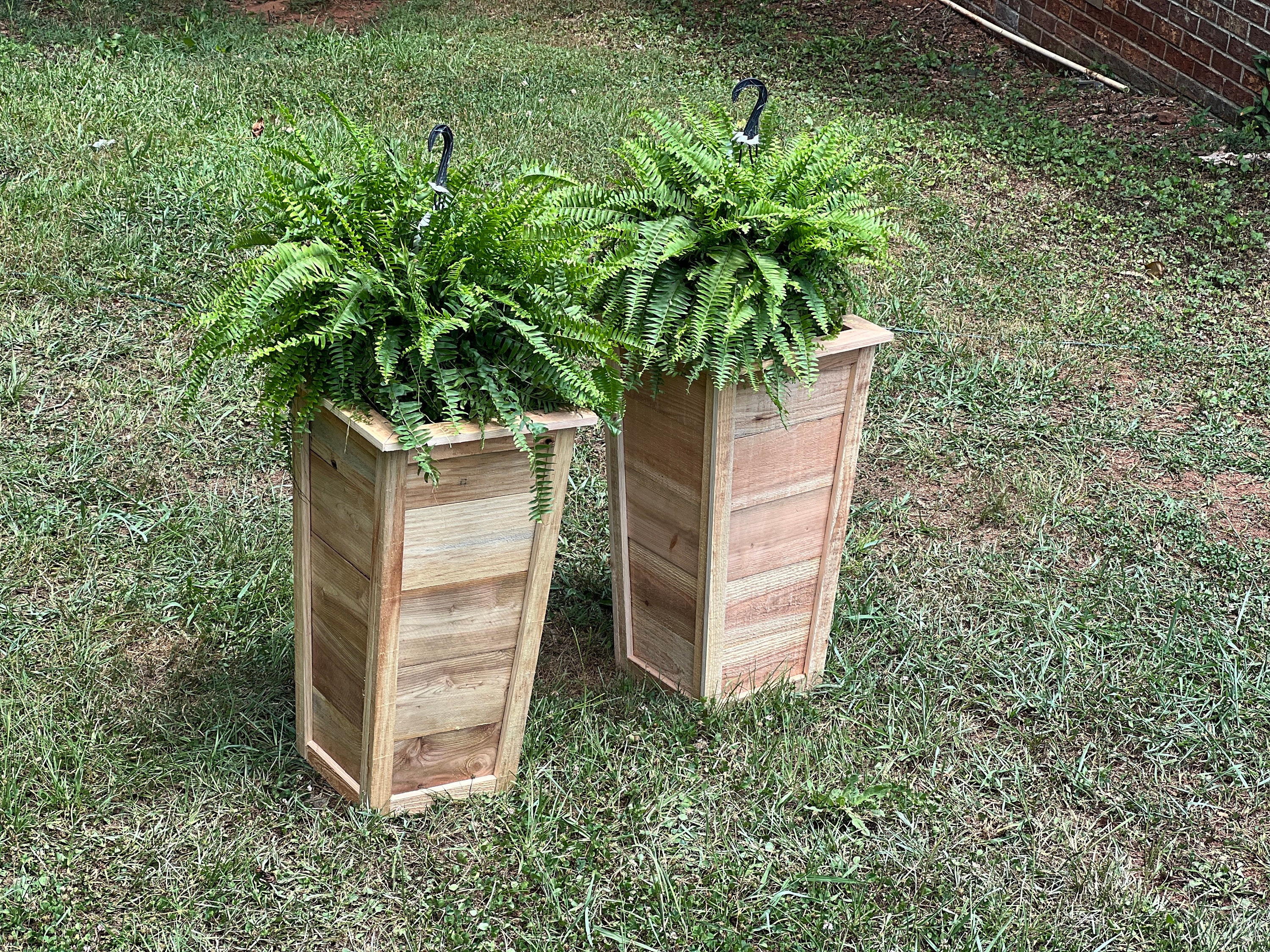 Tall Fern Stand - Etsy
