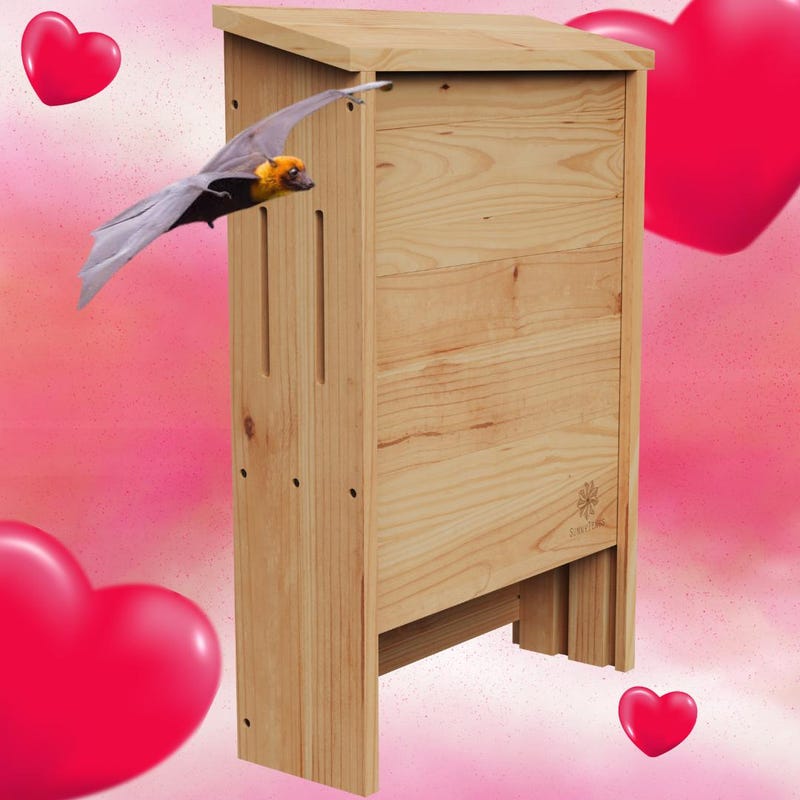 Bat House - Etsy