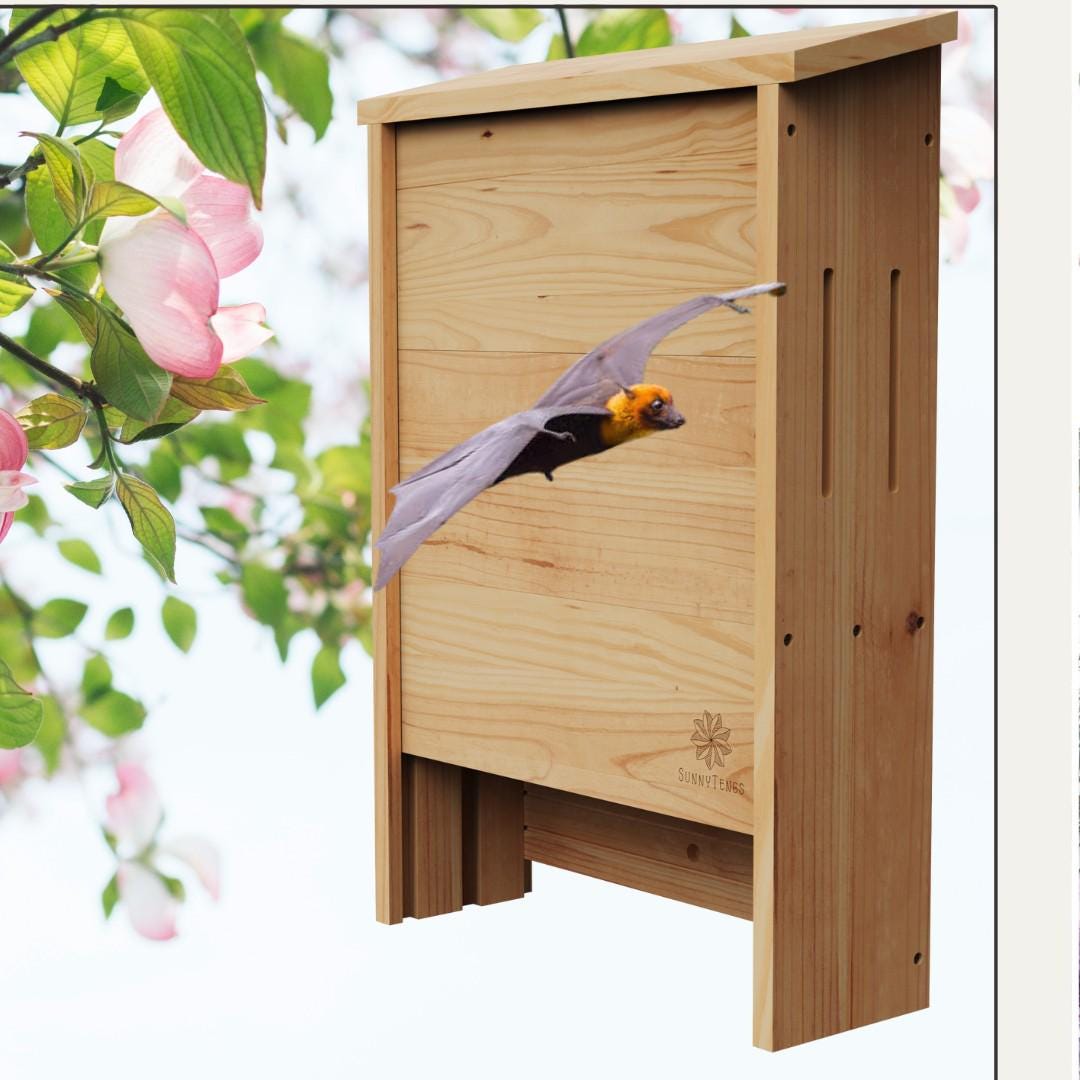 Large Bat House - Bat Box - Double Chambered Bat Houses - Improved Air ...