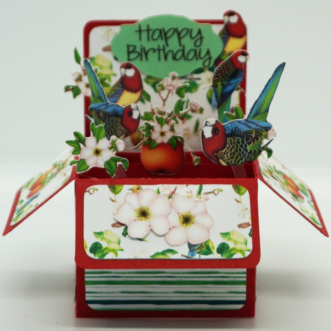 Parrot Promise Birthday Card - Etsy