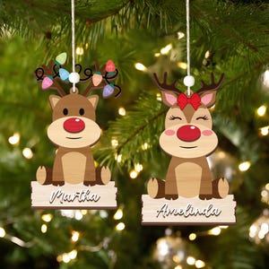 Personalized Reindeer Ornament Gifts, Custom Name Christmas Stocking ...