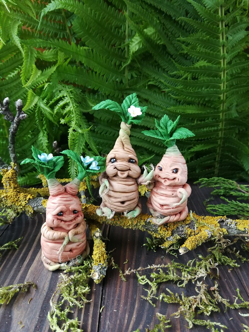 Mandrake Root the Screaming Magic Mandrake Mandrake Baby | Etsy