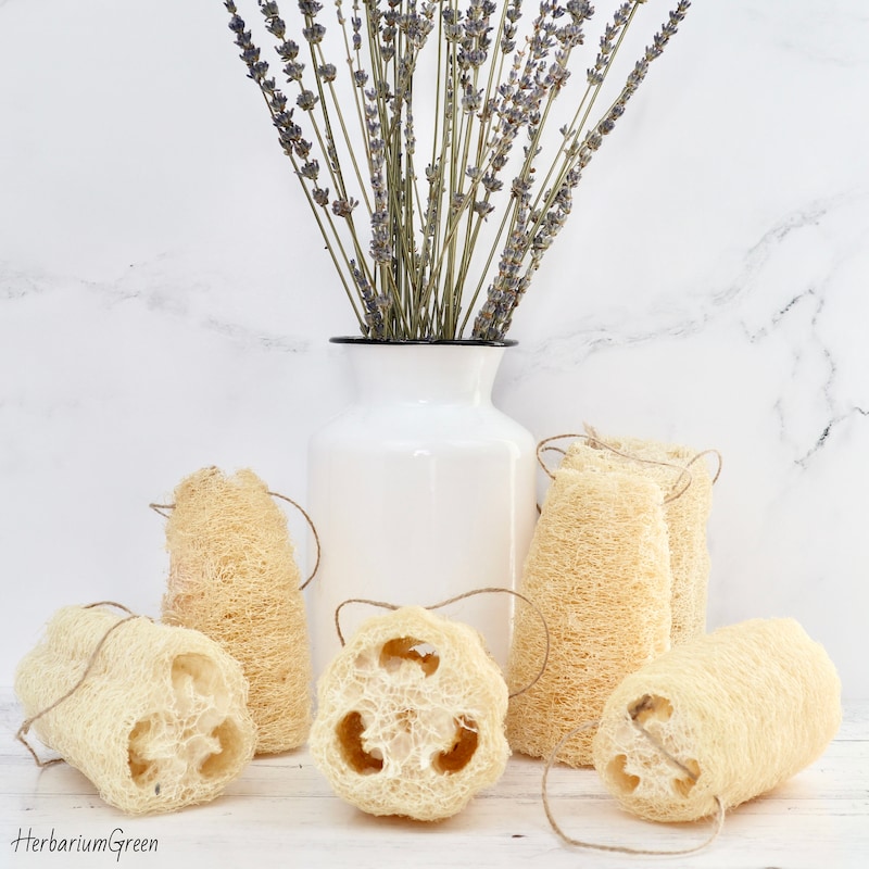 Luffa Sponge - Etsy