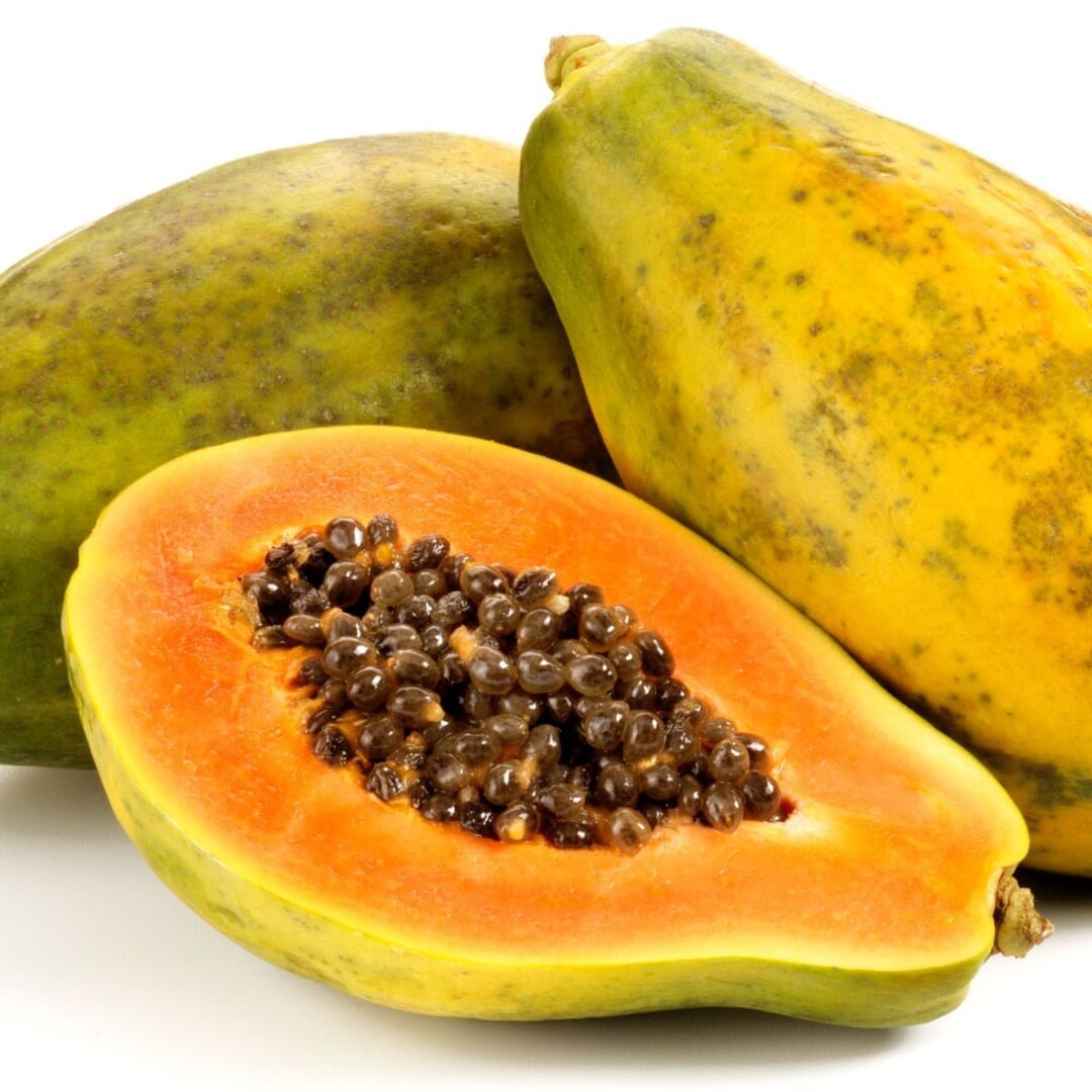35 Papaya Seeds | Fresh Crops | Heirloom Seeds | Non-gmo | Home Grown ...