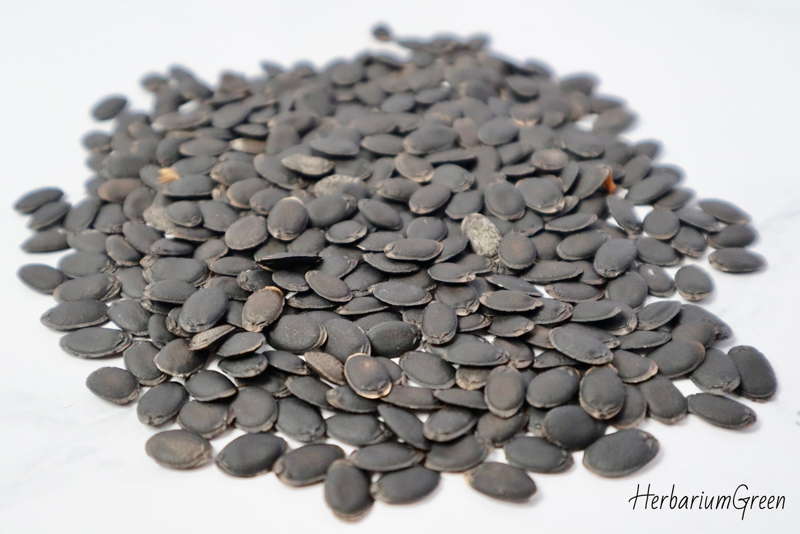 35 Organic Loofah Seeds Luffa Edible Squash Sponge - Etsy