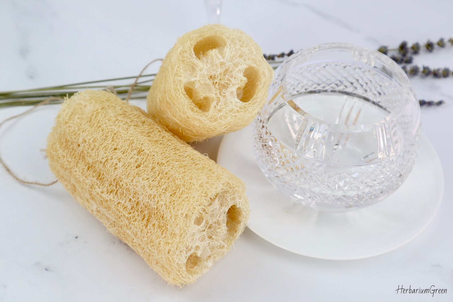 35 Organic Loofah Seeds Luffa Edible Squash Sponge - Etsy