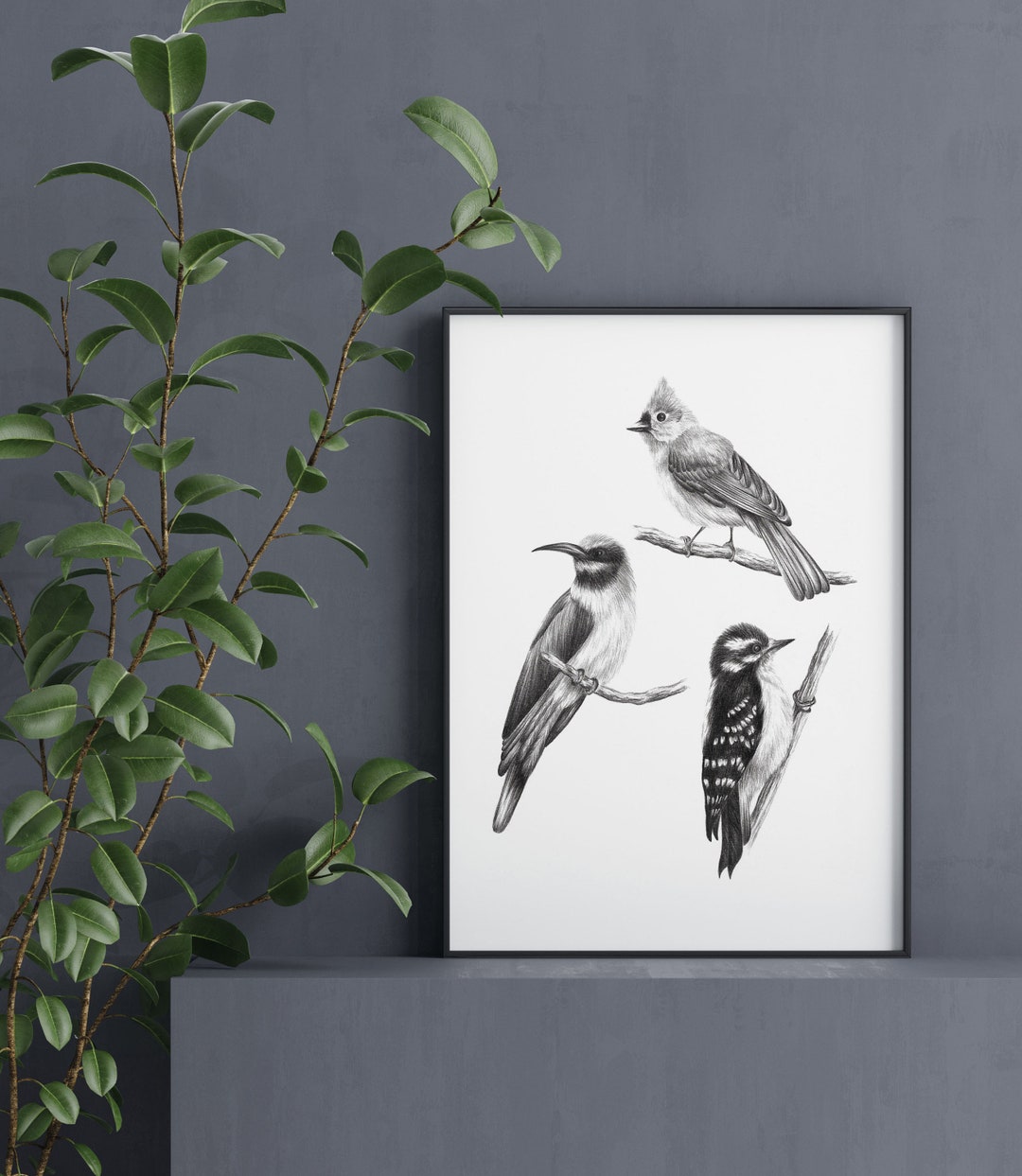 Print - 3 Birds Graphite Pencil Illustration A4/A3 - Etsy