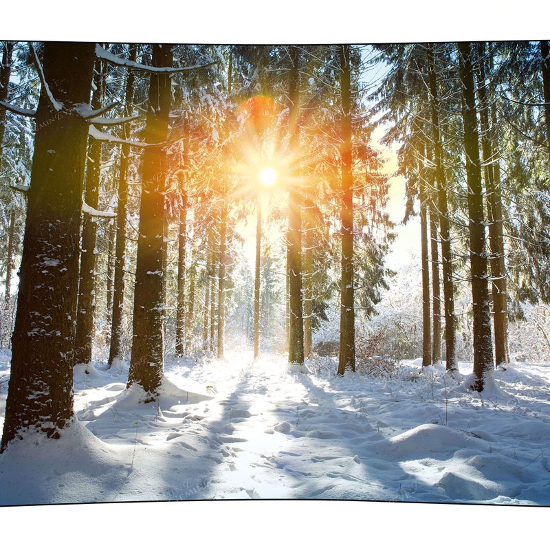 Snowy Wall Tapestry - Etsy