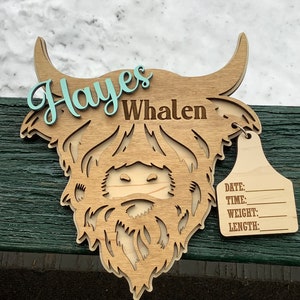Highland Cow Milestone Markers - Baby Photo Prop - Hospital ...