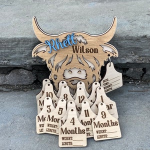 Highland Cow Milestone Markers - Baby Photo Prop - Hospital ...