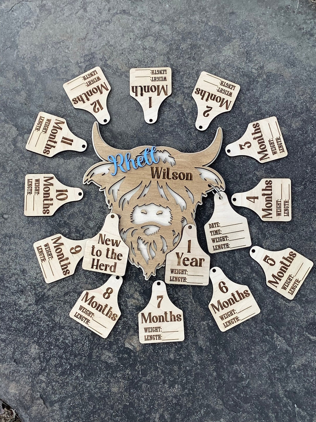 Highland Cow Milestone Markers - Baby Photo Prop - Hospital ...