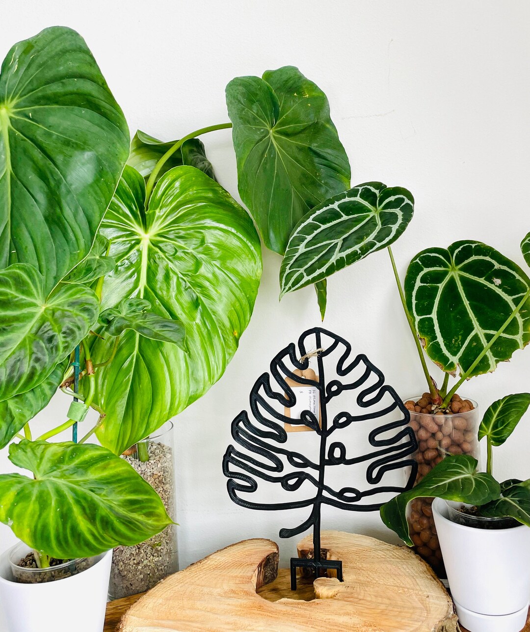 Plant Trellis Monstera Deliciosa Leaf Trellis Plant Art - Etsy