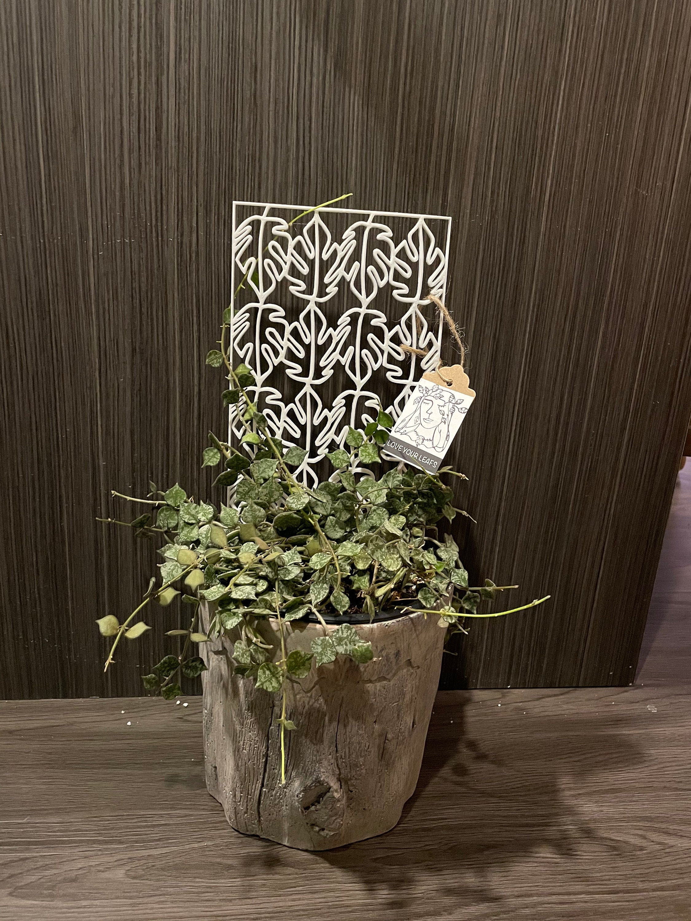 Plant Trellis Monstera Deliciosa Leaf Wall Trellis | Etsy