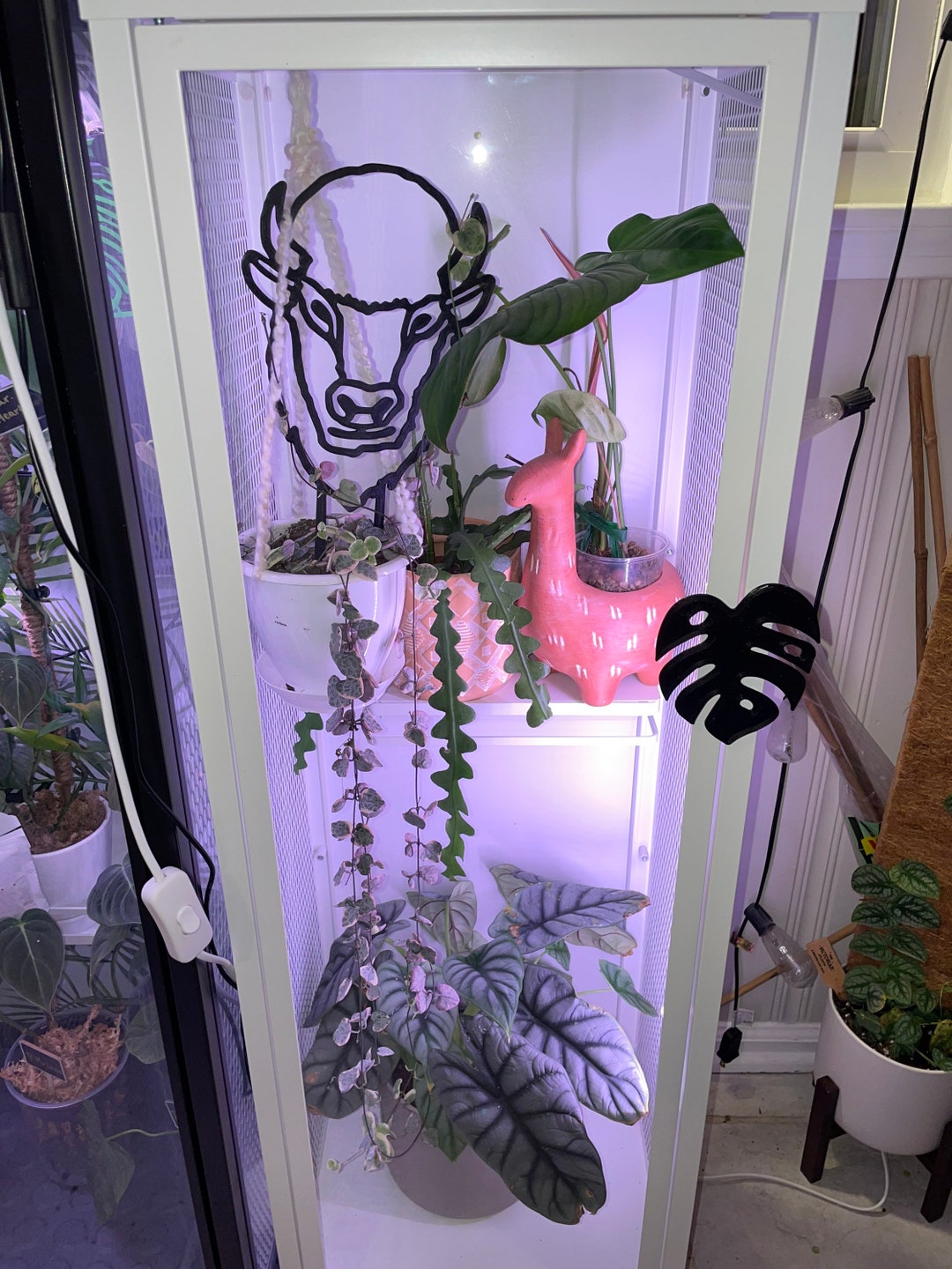 BAGGEBO Monstera Deliciosa Handle Ikea Baggebo Greenhouse - Etsy