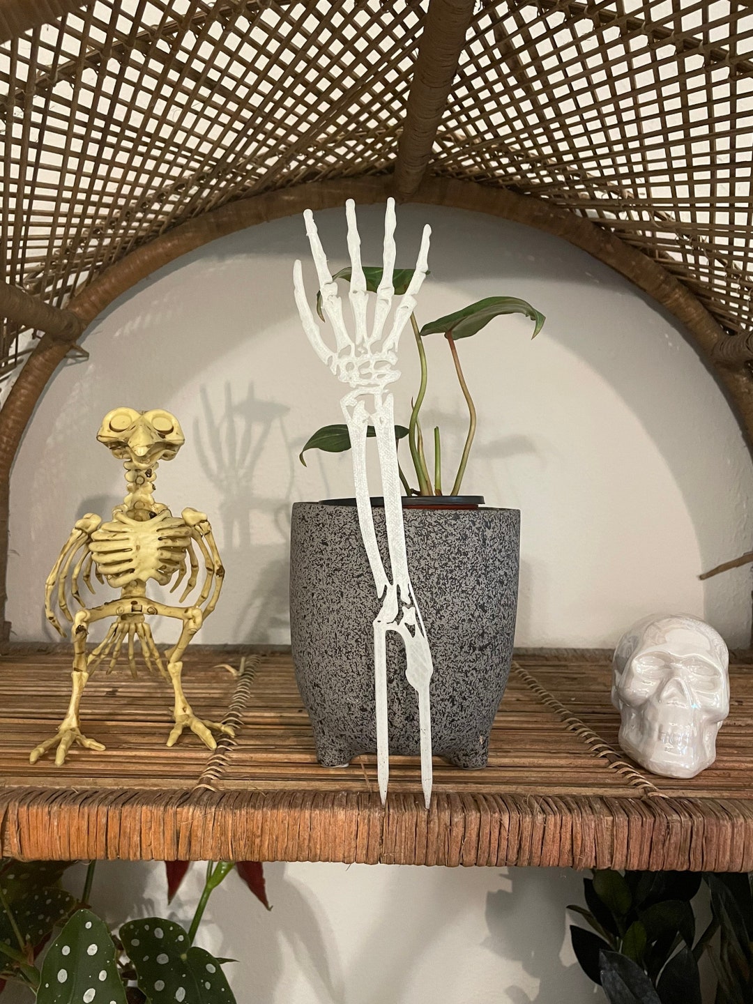 Skeleton Arm Plant Trellis Halloween Decor Houseplant Art - Etsy