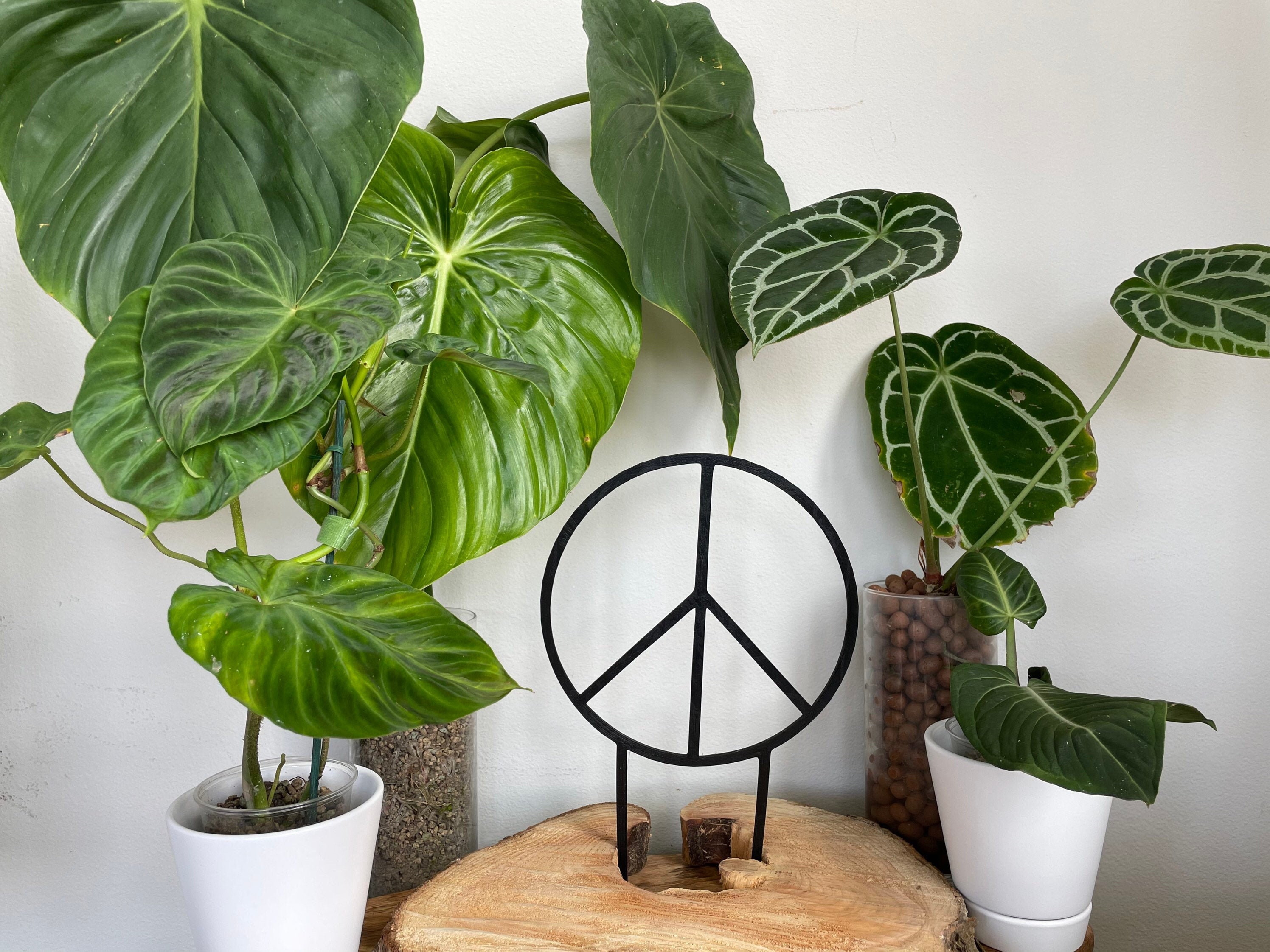 Peace Sign Trellis 3d Printed Plant Support Plant Decor - Etsy