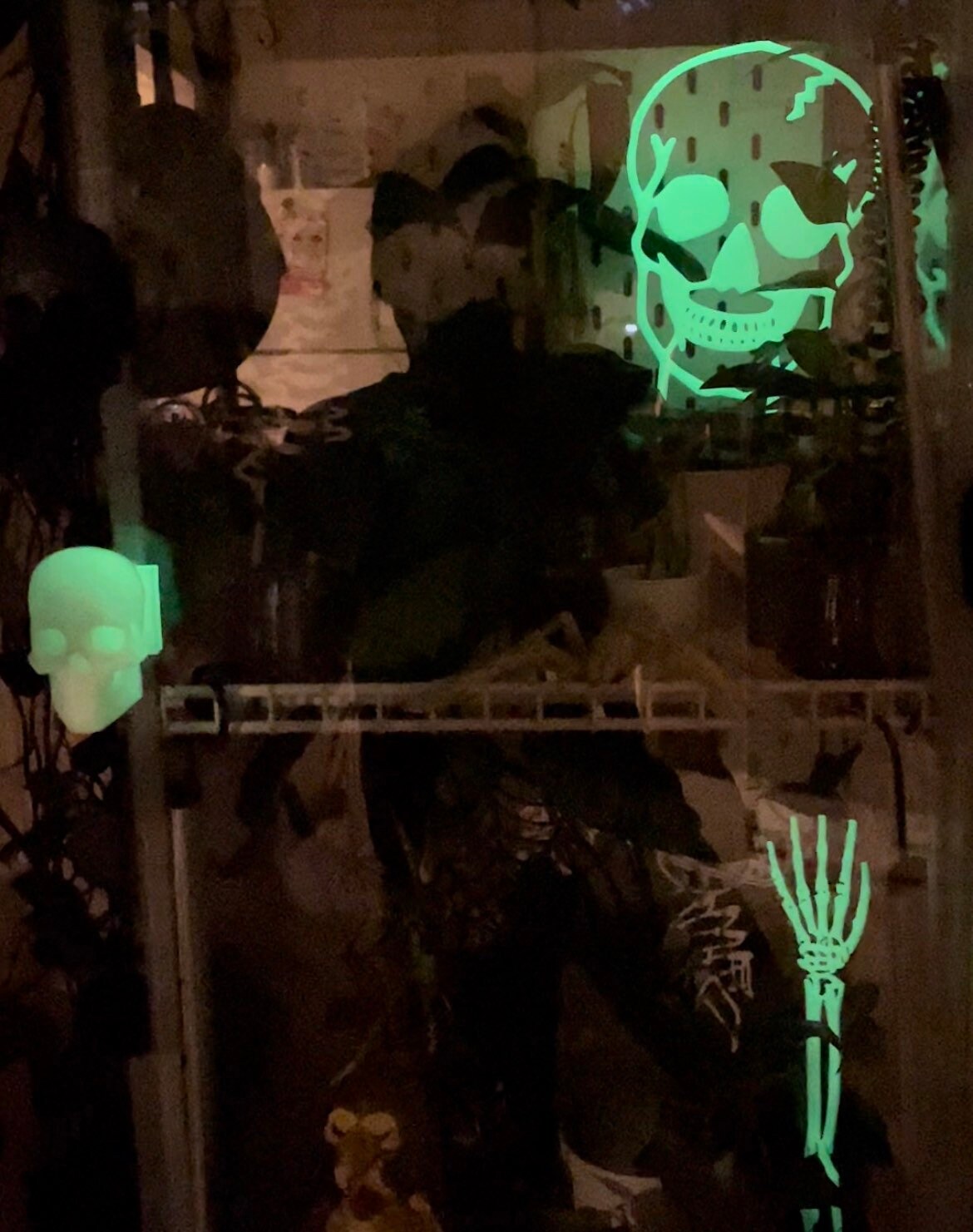 Plant Trellis Cebu Blue Pothos Plant Art Plant Decor | Etsy