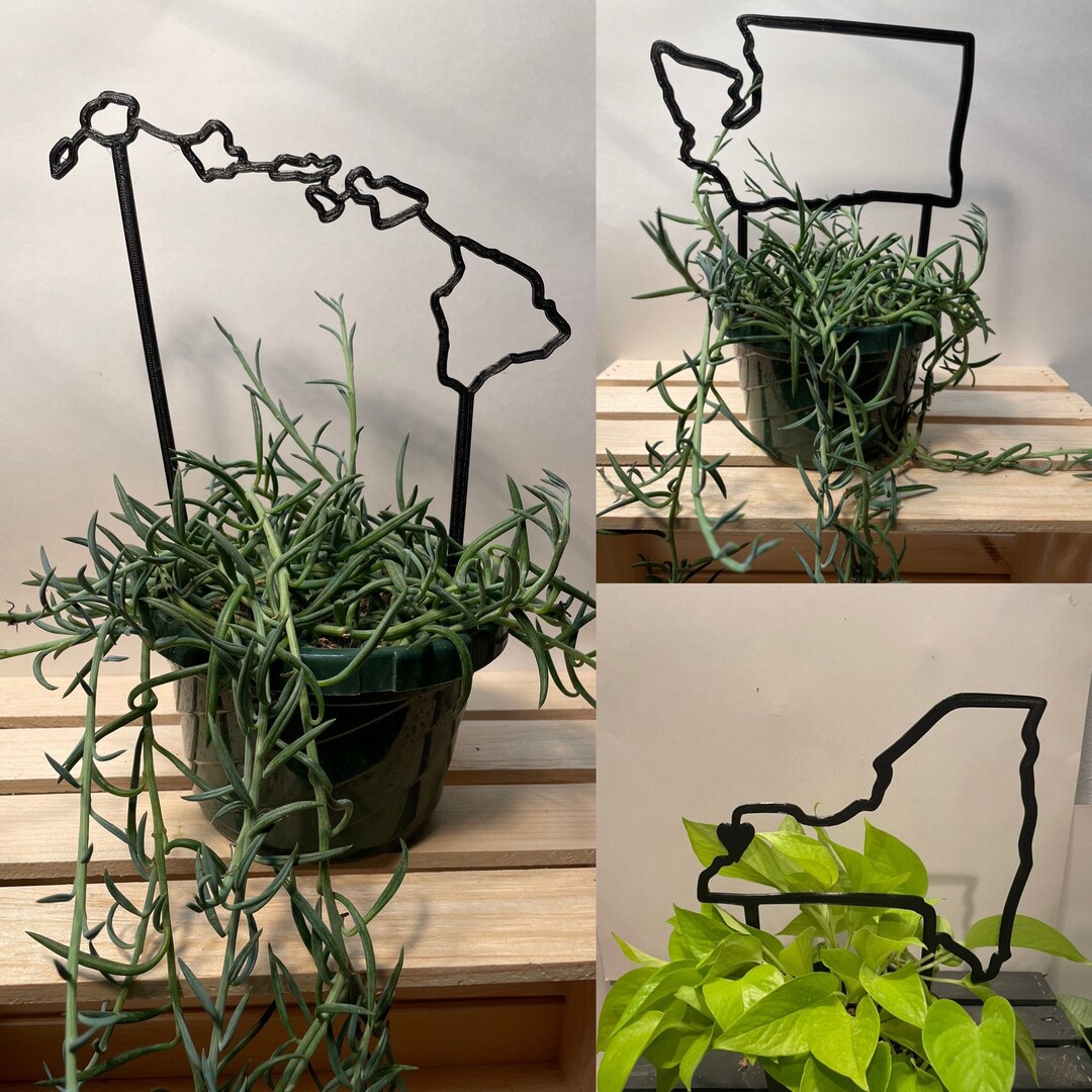 Plant Trellis State Shaped Trellises 3d Printed Custom - Etsy