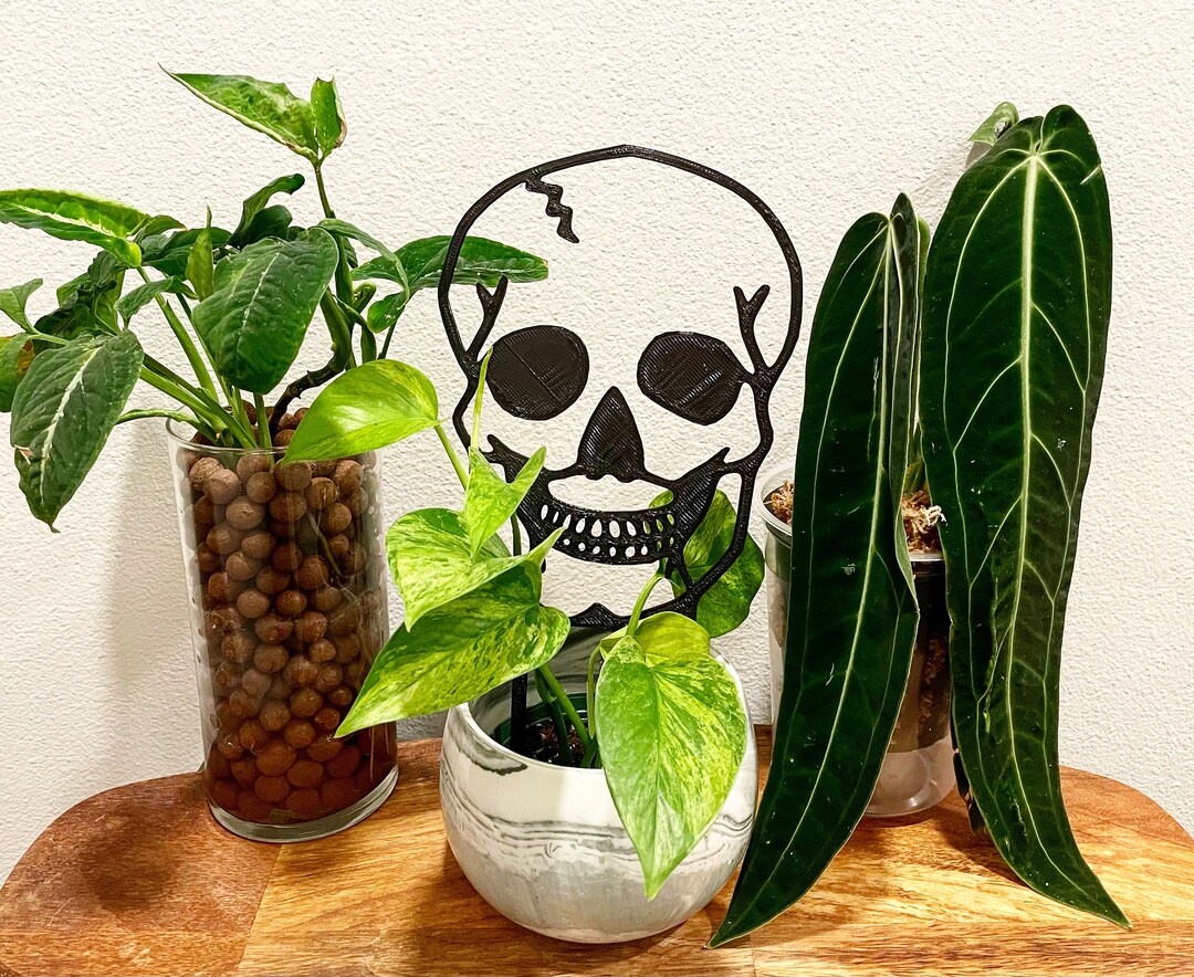 Skull Trellis Bones Plant Trellis Skeleton Spooky 3d - Etsy
