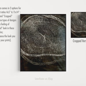Tree Ring Wall Art, Triptych Abstract Art, Tree Stump Art, Nordic Art ...
