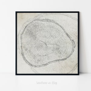 Tree Stump Wall Art, Set of 4 Prints Square, Wood Tree Ring, Wood Slice ...