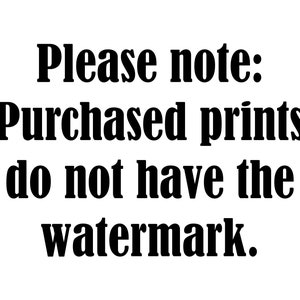 Shoot for the STARS Digital Print // Space Art // Motivational Quote - Etsy