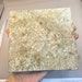 Unique Ancient Greco Roman Stone Tablet With Image of an Animal E - Etsy