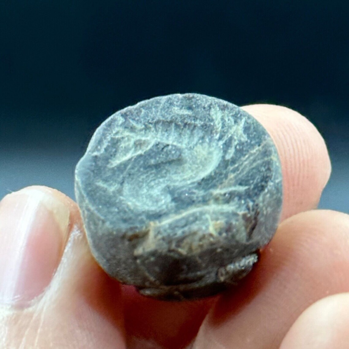Very Old Ancient Roman Animal Intaglio Stone Bead - Etsy