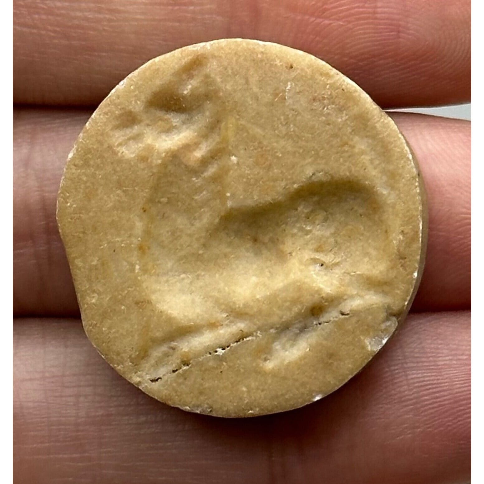 Genuine Ancient Near Eastern Rare Animal Intaglio Bead - Etsy