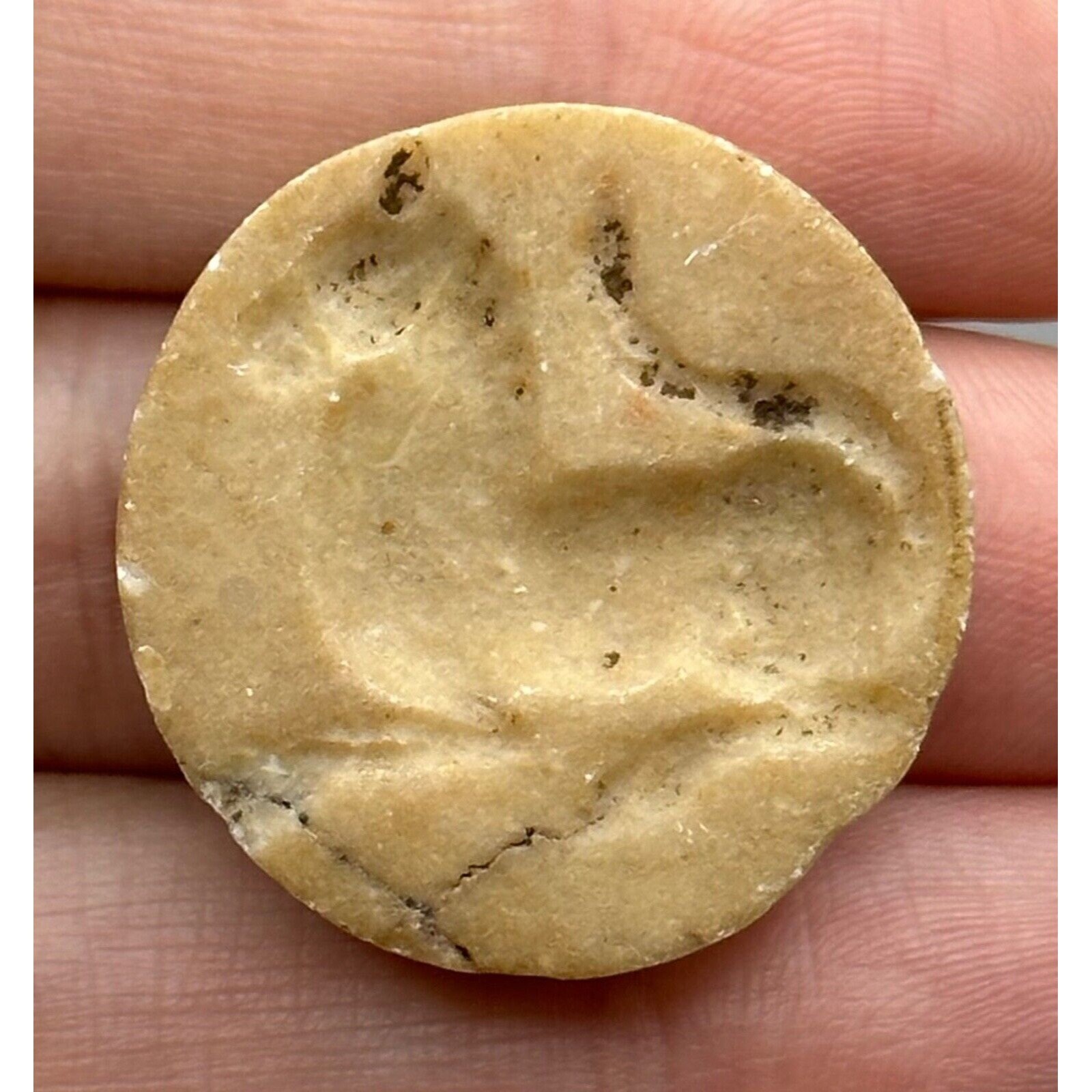 Genuine Ancient Near Eastern Rare Animal Intaglio Bead - Etsy