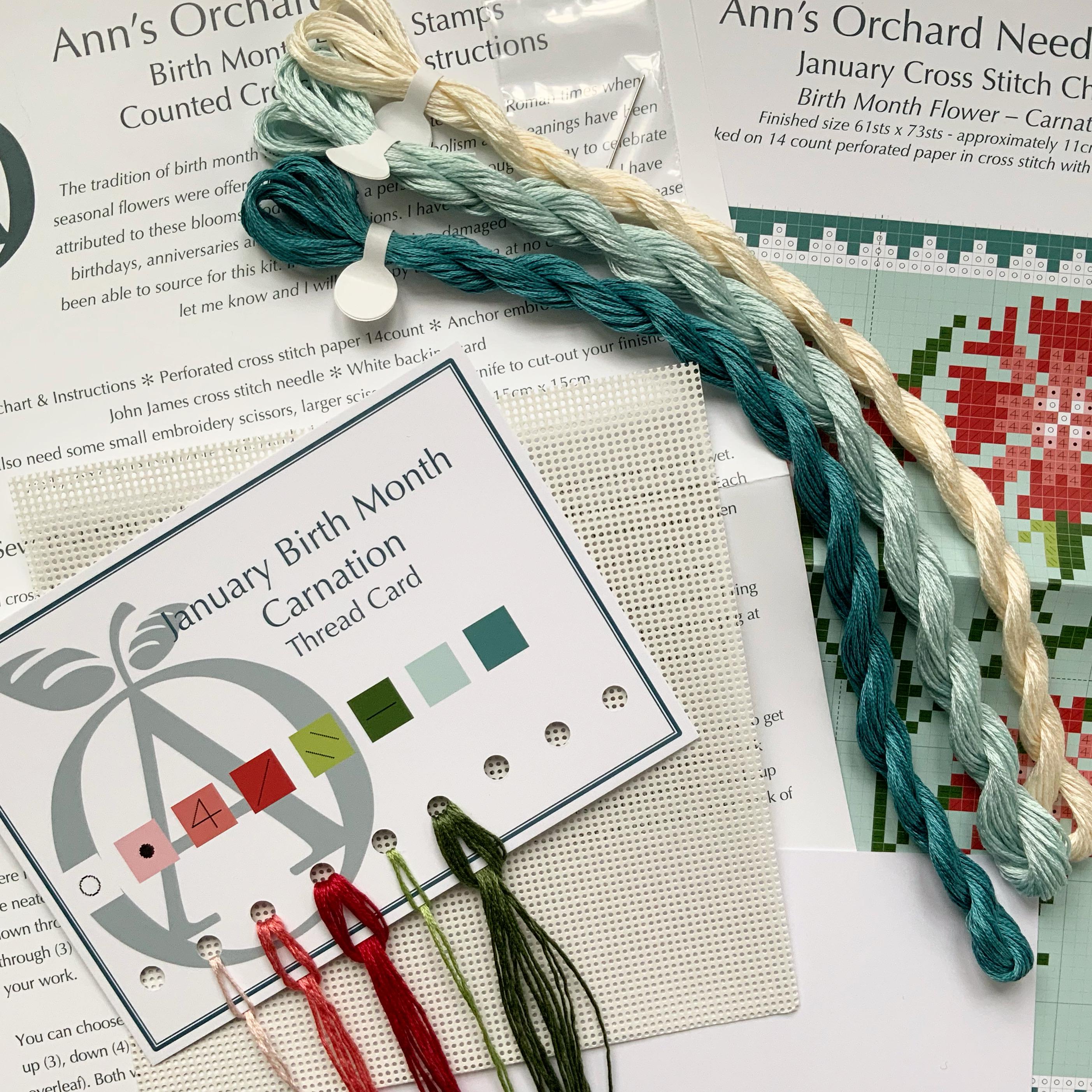 January Birth Month Stamp Counted Cross Stitch Kit - Etsy