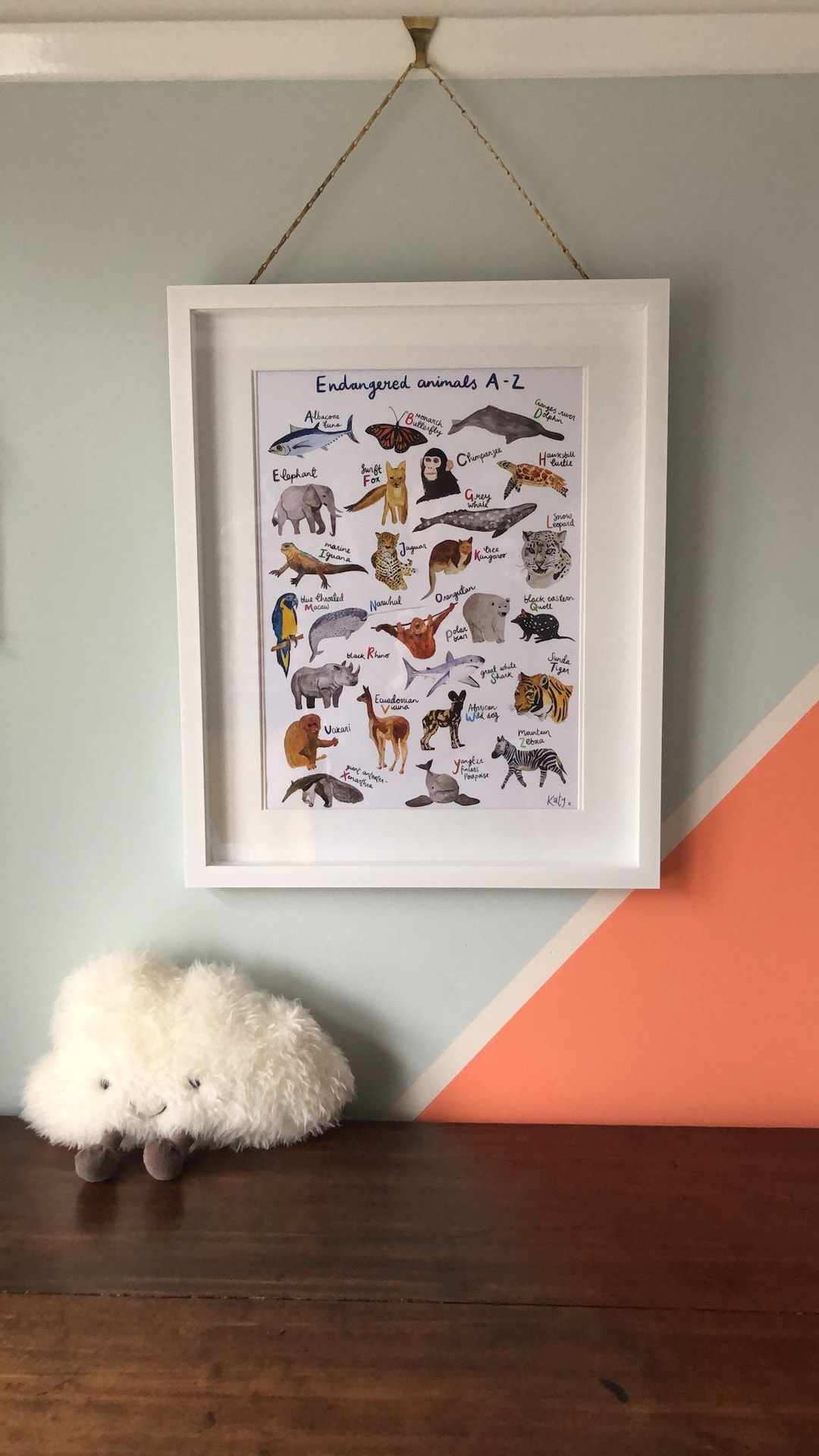 A4 Endangered Animals A-Z Print (unframed) - Etsy