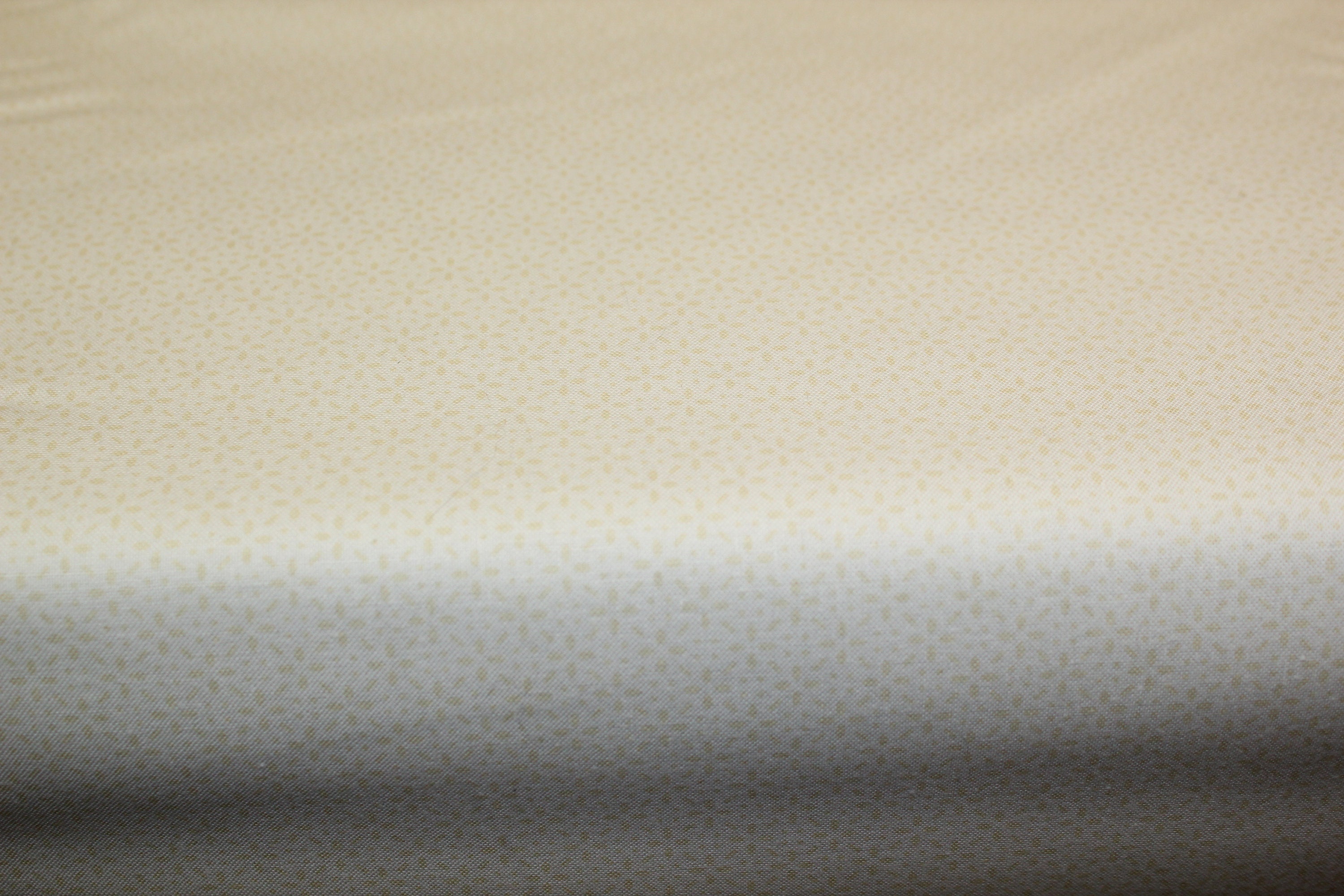 Cream Cotton, Tone on Tone Cream Fabric by Riley Blake Designs Sold by ...