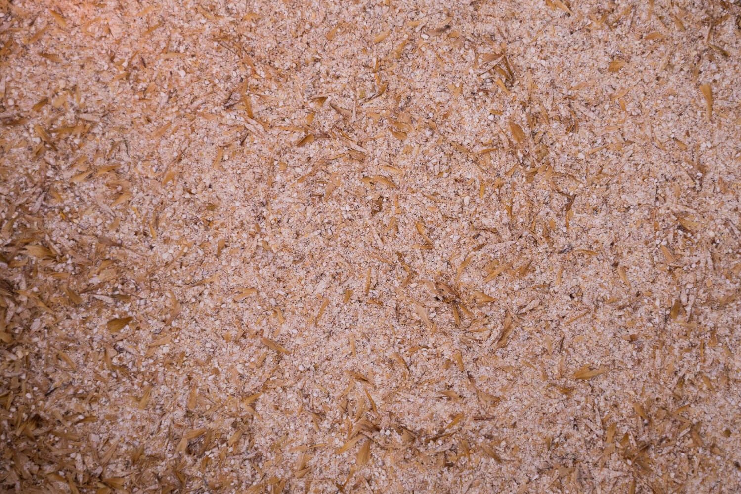 Malted Barley Grains (milled) - Natural Source of Microbes and Enzymes ...