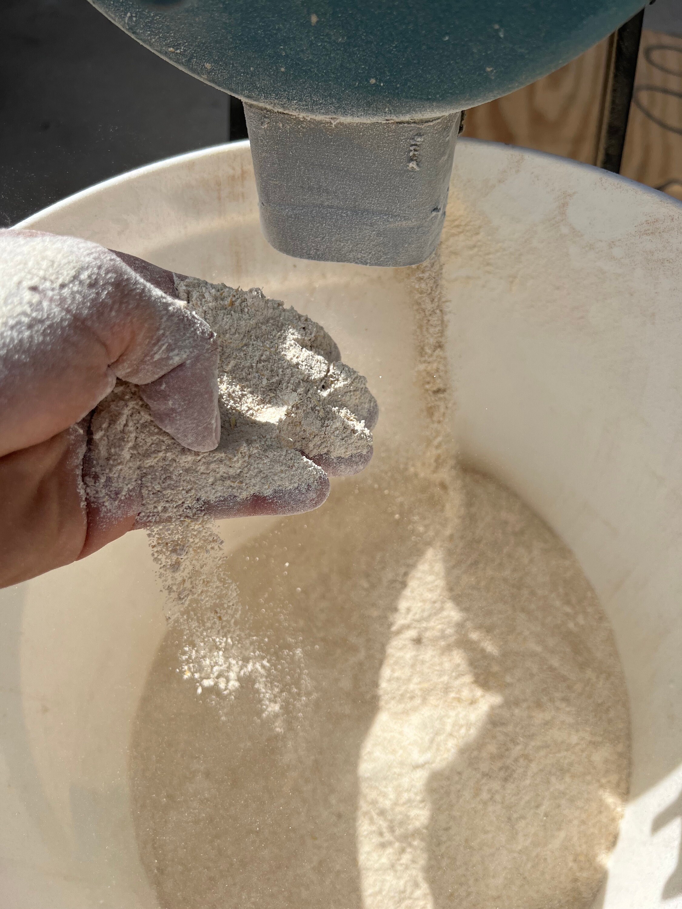 Malted Barley Grains (milled) - Natural Source of Microbes and Enzymes ...