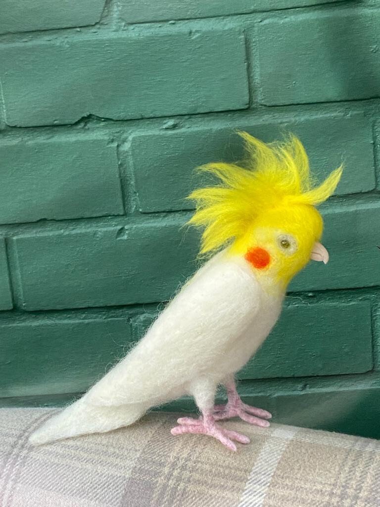 Needlefelted Cockatiel Lifesize Bird Sculpture White - Etsy