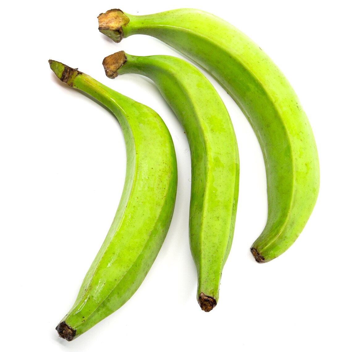 Congo Green Plantain Barraganete 5 13.5lbs Whole Fruit | Etsy