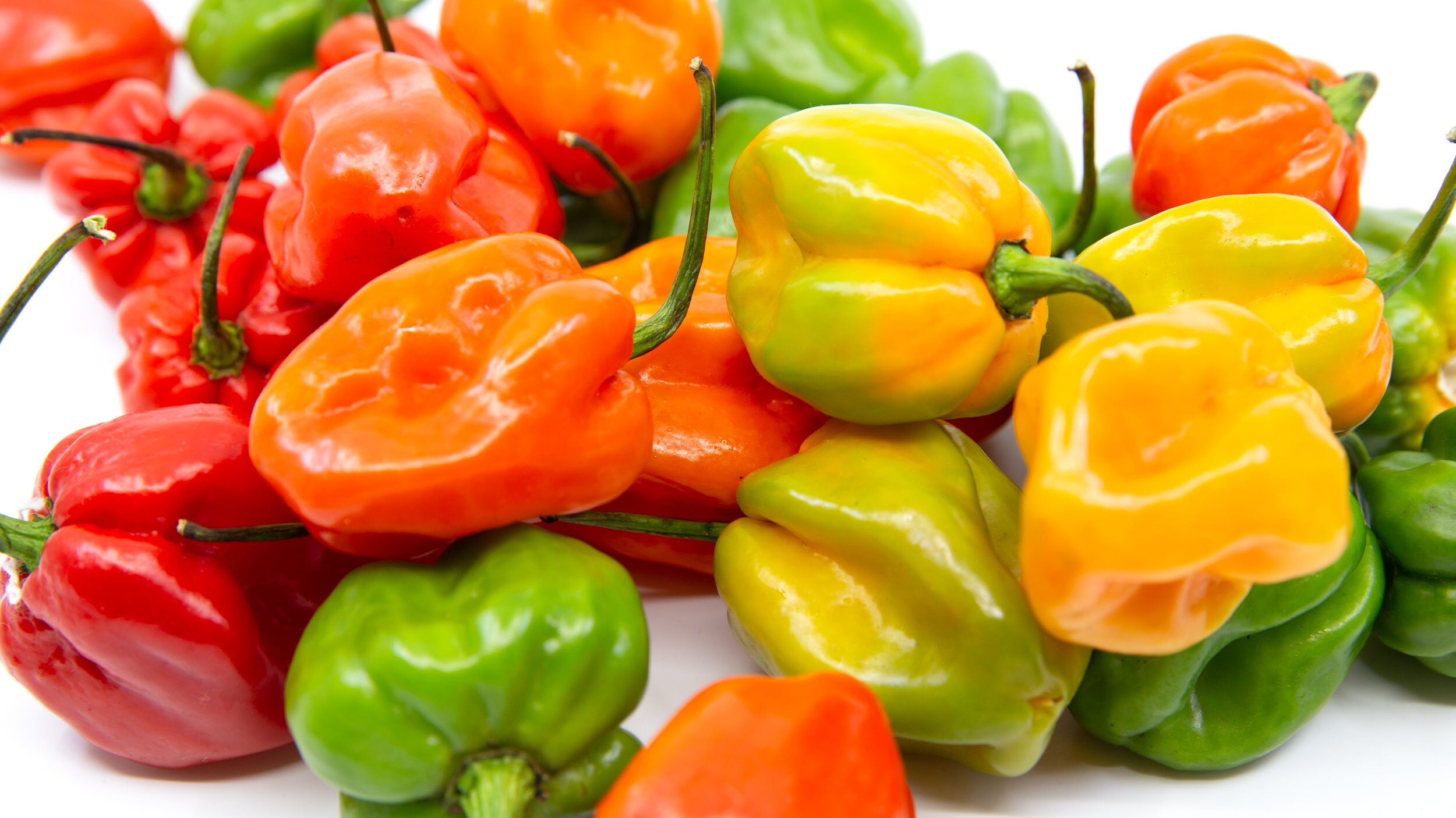 Habanero Pepper Mixed 1 6 lbs Whole Vegetable | Etsy