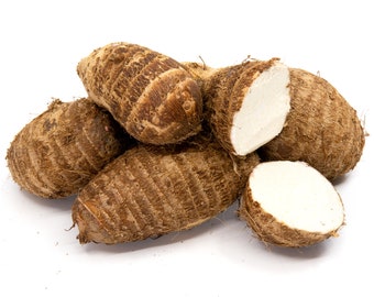 Malanga Coco Yam Malanga Coco Root Yautia Cocoyam Tannia - Etsy